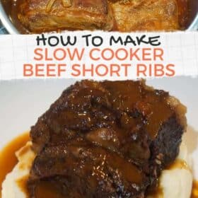 Slow Cooker Beef Short Ribs in Red Wine Sauce - A Food Lover's Kitchen