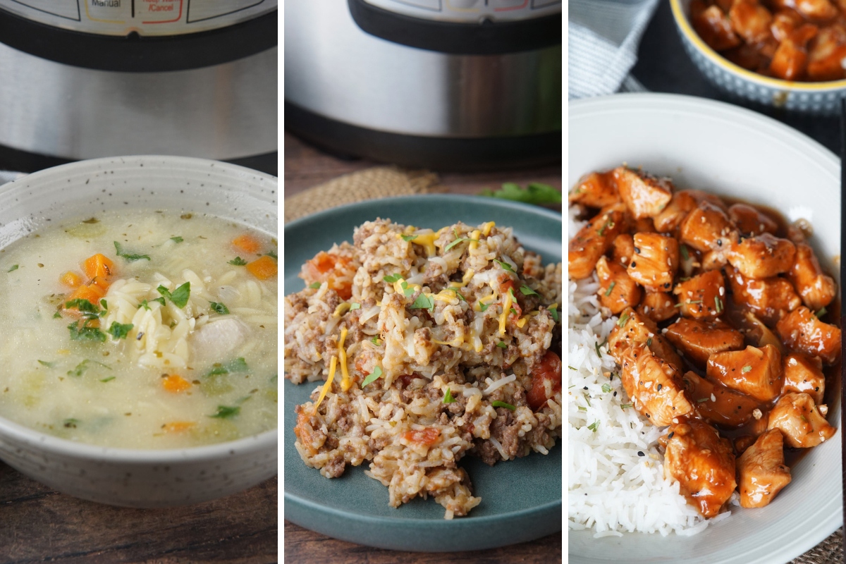 11 Quick and Easy Instant Pot Dinners for Busy Nights - A Food Lover's ...